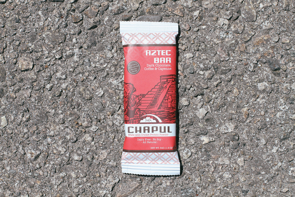 Cricket Flour Protein Bar Review: Exo vs. Chapul
